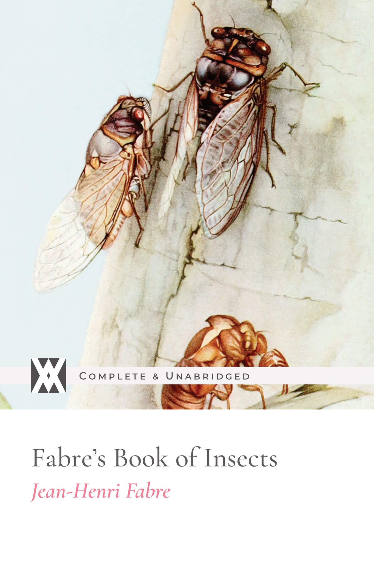 Fabre's Book of Insects - Mrs. Rodolph Stawell — New West Press