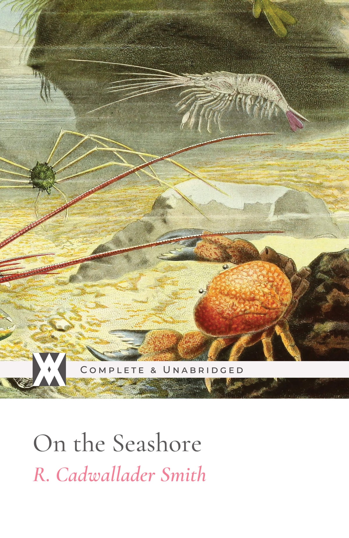 On the Seashore - R. Cadwallader Smith — New West Press
