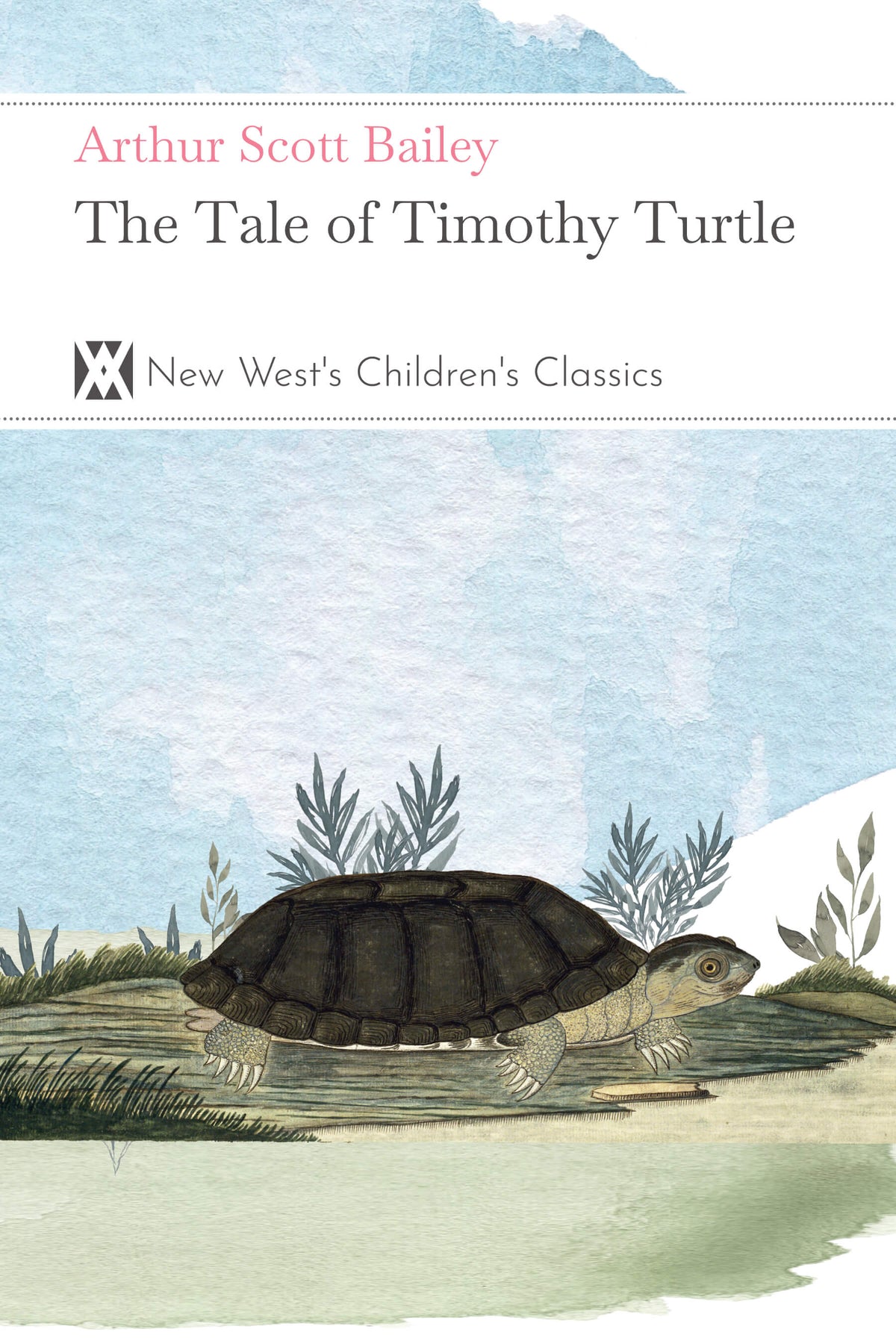 The Tale of Timothy Turtle - Arthur Scott Bailey — New West Press